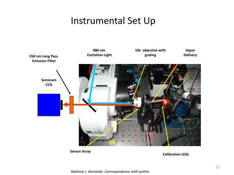 Ppt Fluorescence Based Self Encoding Micro Bead Sensor Arrays
