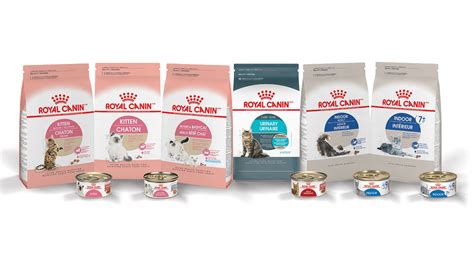 고양이 품종 백과사전 묘종별 고양이 특징 성격 Royal Canin Kr