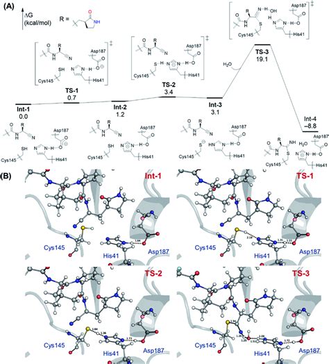 Computed Free Energy Profile In Kcal Mol⁻¹ And Optimized Structures