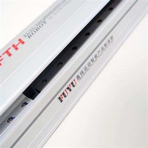 Heavy Duty Actuator Ball Screw Linear Module Double Track Rail Guide Fuyu Technology Co Ltd