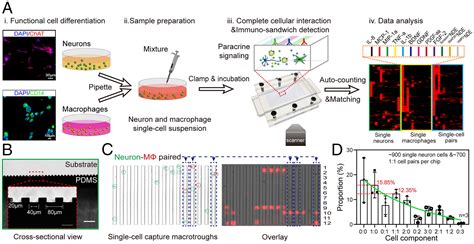 Mapping Secretome Mediated Interaction Between Paired Neuronmacrophage