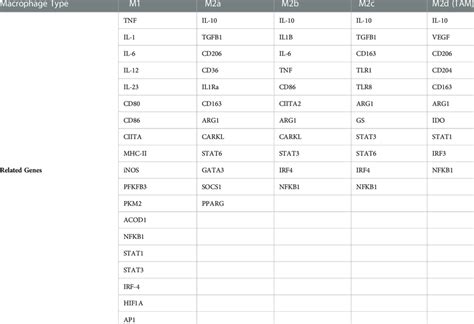Macrophage Phenotype Related Genes Download Scientific Diagram