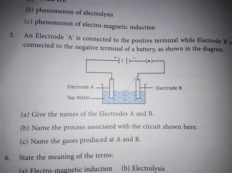 Negative Terminal Circuit Diagram At Craig Cox Blog