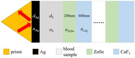 The Cross Section Of The Proposed Biosensor Download Scientific Diagram