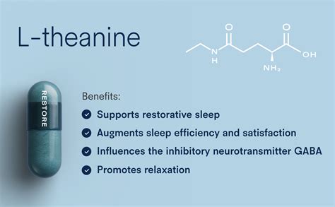 Understanding The Benefits Of L Theanine For Relaxation And Focus