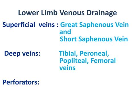 Lower Limb Venous System Ppt