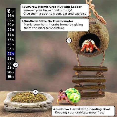 Sungrow Hermit Crab Coco Den With Ladder Nesting Home Hide Mini Condo For Crustaceans Coconut