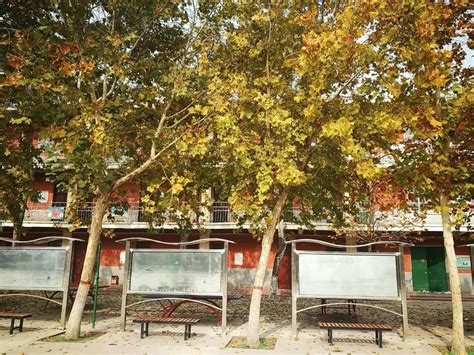 你们的沙河四中，我的华冶一中。