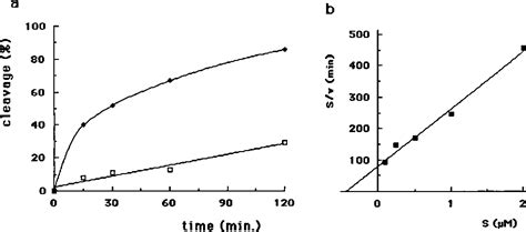 Figure 8 From Design Of Rna Enzymes Distinguishing A Single Base
