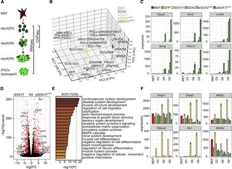 Directed Evolution Of Reprogramming Factors By Cell Selection And Sequencing Stem Cell Reports