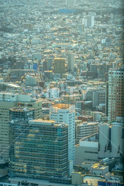 サンシャイン60から見える街並み Id 8892 ご当地写真・イラスト素材サイト Pictyピクティ