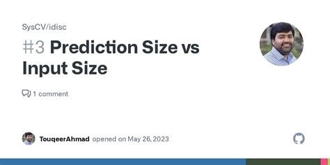 Prediction Size Vs Input Size · Issue 3 · Syscvidisc · Github