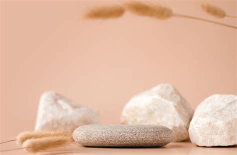 베이지 색 배경에 마른 꽃이있는 돌 연단 자연 아름다움 프리젠 테이션 모형 구성 강단에 대한 스톡 사진 및 기타 이미지 강단