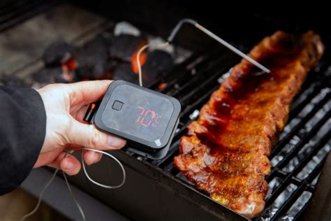 Precision Cooking The Art Of Choosing The Perfect Digital Meat