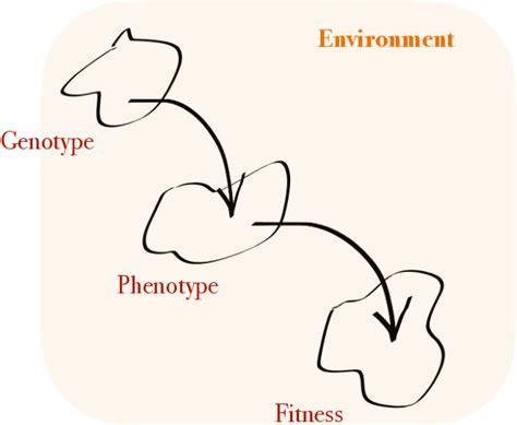 figure 1 from design principles of multi map variation in biological