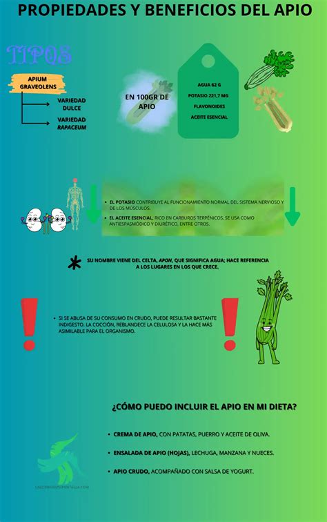 Propiedades Nutricionales Del Apio Labotikaentupantalla