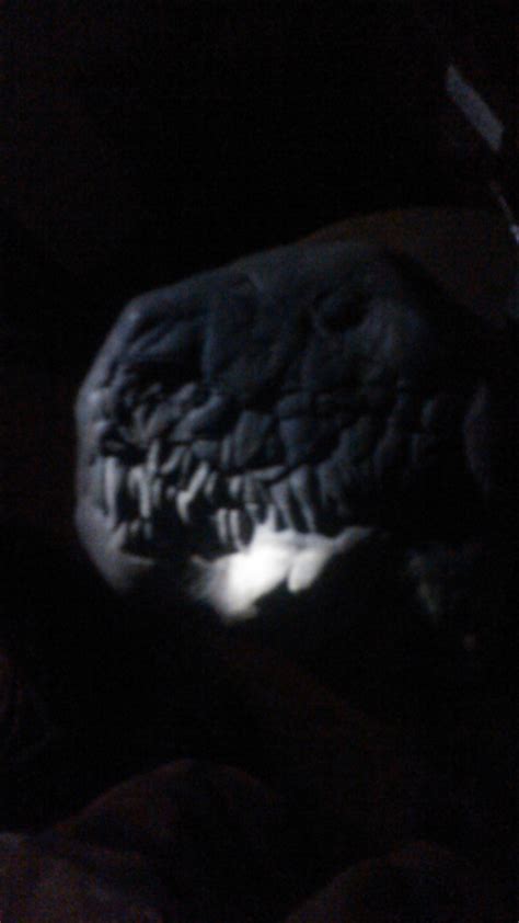 Can Anyone Id These Fossils Fossil Id The Fossil Forum