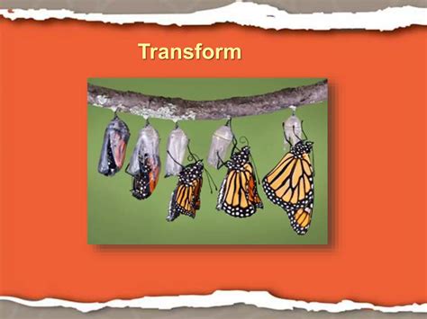 6 Developing Transformative Education Pptx