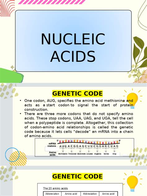 Nucleic Acids Cont Pdf Translation Biology Genetic Code
