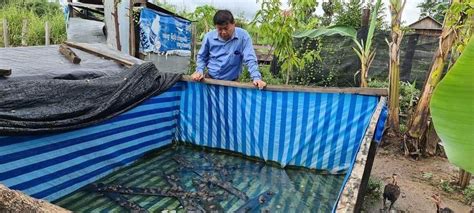 ការចិញ្ចឹមត្រីអណ្ដែង កង្កែប នៅក្រុងវិហារ និងស្រុកត្បែងមានជ័យ មានការរីកចម្រើន នគរដ្រេហ្គន