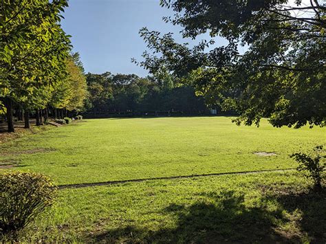 鶴ヶ島の公園特集おすすめ3選と気になる駐車情報をチェック 埼玉日和さいたまびより