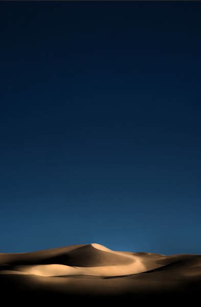 Color Photography Art Intero Llc Dba Pat Scanlon Photographer Seattle