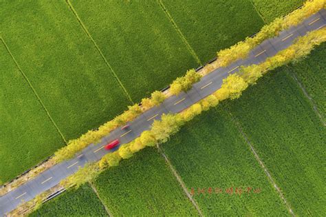 我市农村公路路况水平位列全省第一方阵