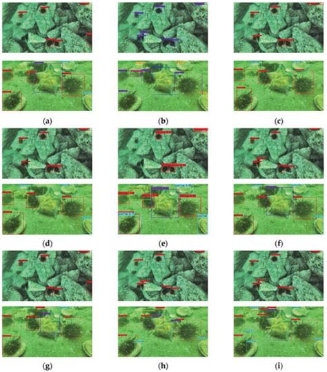 Underwater Object Detection Based On Improved Efficientdet