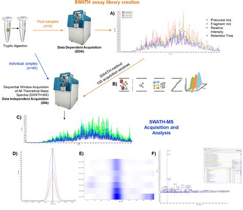 Figure 2 From Data Independent Acquisition Based Swath Ms Proteomics