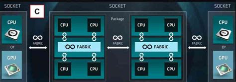 What Are Ccd And Ccx In Amd Ryzen Processors