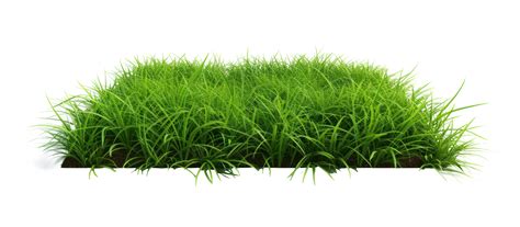Ai Generated Small Green Grass Lawn Of Square Shape Realistic Natural