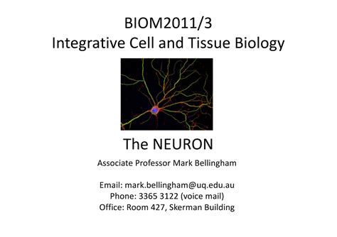 Biom2011 2023 New Lecture Notes For Biom 2011 Biom2011 Integrative