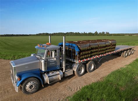 Premium Kentucky Bluegrass Sod Hildebrand Sod Farm