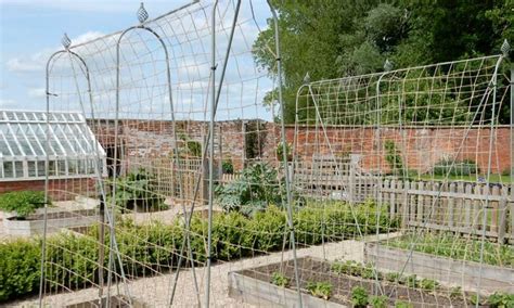 Why You Need To Choose The Best Metal Runner Bean Frame