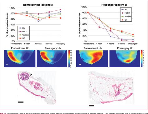 Figure 1 From Functional Imaging Using Diffuse Optical Spectroscopy Of