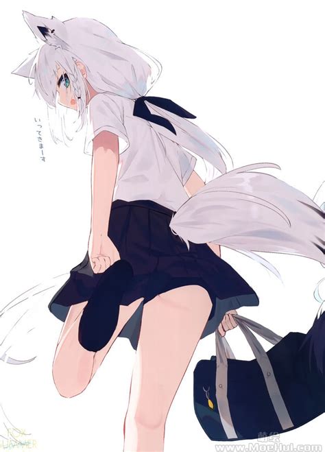 会员 画集 White Parabellum 凪白みと Fox Summer Memory 14p 萌绘