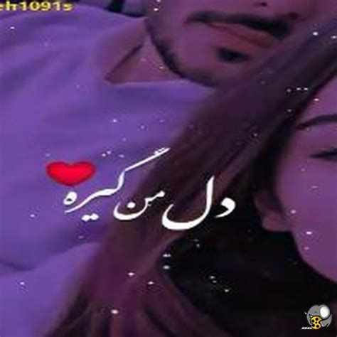 کلیپ عاشقانه فیلو