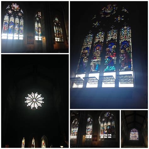 Behind The Leopard Glasses Da Bronx