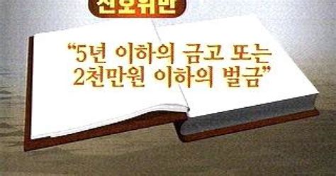 교차로 앞 횡단보도 신호 위반시 형사처벌