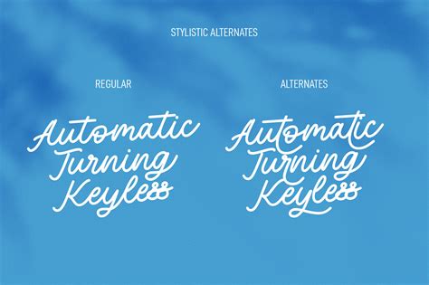 Blufcrowds Classic Script Font On Behance