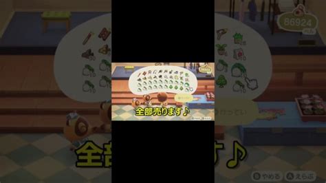 カブドリーマーへの道 あつ森 Shorts あつ森 動画まとめ