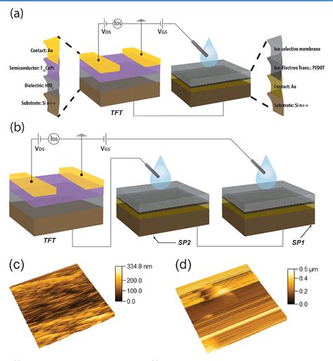 Figure 1 From Dual Gated Transistor Platform For On Site Detection Of