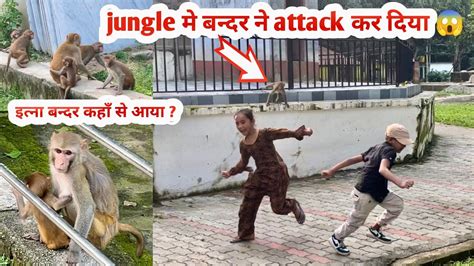 Jungle मे बन्दर के साथ मस्ती Jungle मे Monkey ने Attack कर दिया