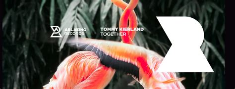 Tommy Kierland