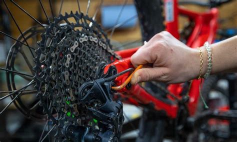 The Difference Between Innate Ability And Trainable Skill Marian Mestdagh