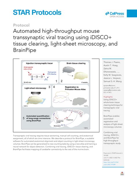 Pdf Automated High Throughput Mouse Transsynaptic Viral Tracing Using Idisco Tissue Clearing