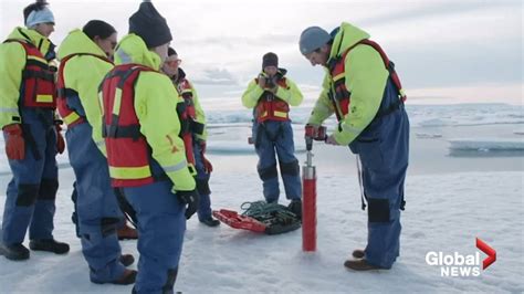 ‘matter Of Great Concern Scientists Find Microplastics In Human