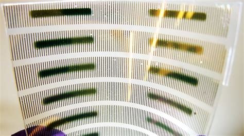Flexible Electronics Opens Up Exciting Possibilities Abc Listen