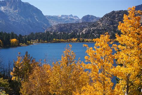 Fall Colors In The Eastern Sierra Why You Must Do This California Road