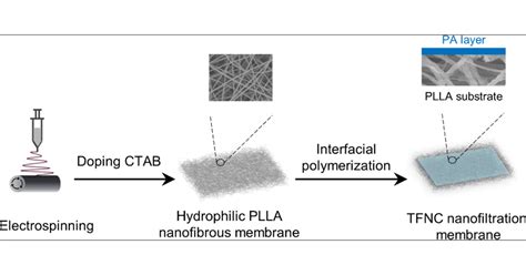 High Permeance Polyamide Nanofiltration Membranes Based On Polyl Lactic Acid Electrospun